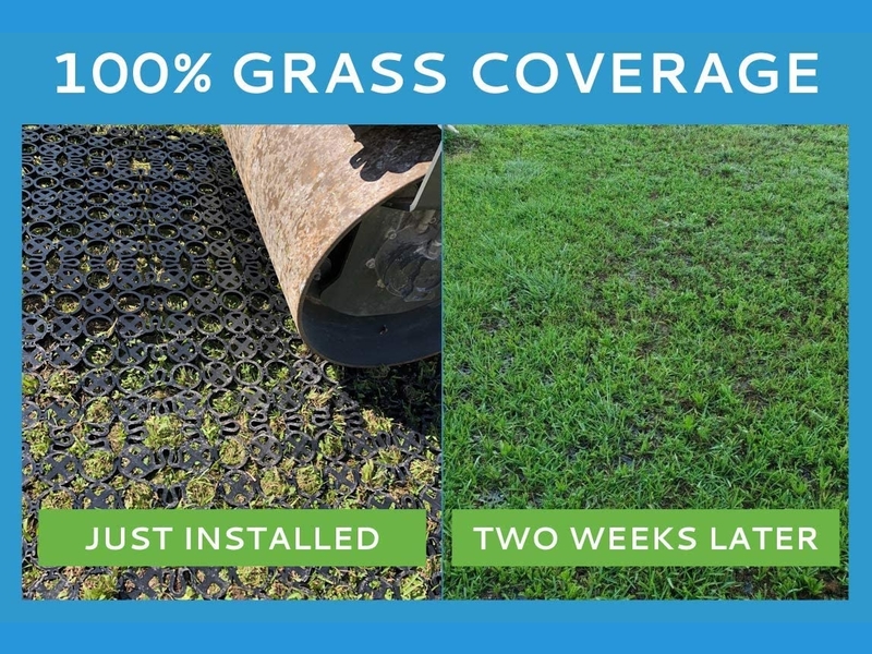 TrueGrid® Permeable Pavers | ROOT Grass Pavers