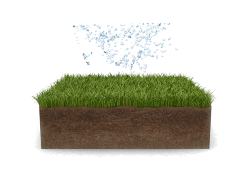 TrueGrid® Permeable Pavers | ROOT Grass Pavers